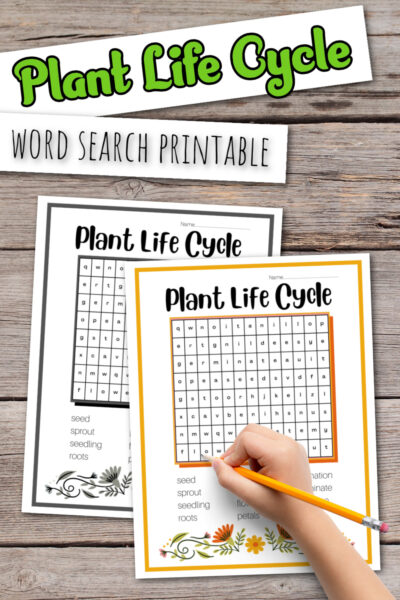 Free Printable Plant Life Cycle Word Search for Kids