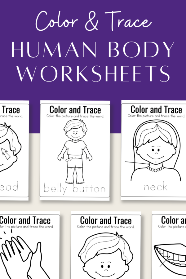 Free Color and Trace Human Body Worksheets