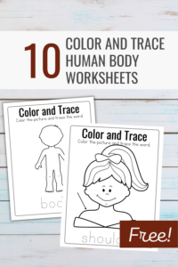 Free Color and Trace Human Body Worksheets