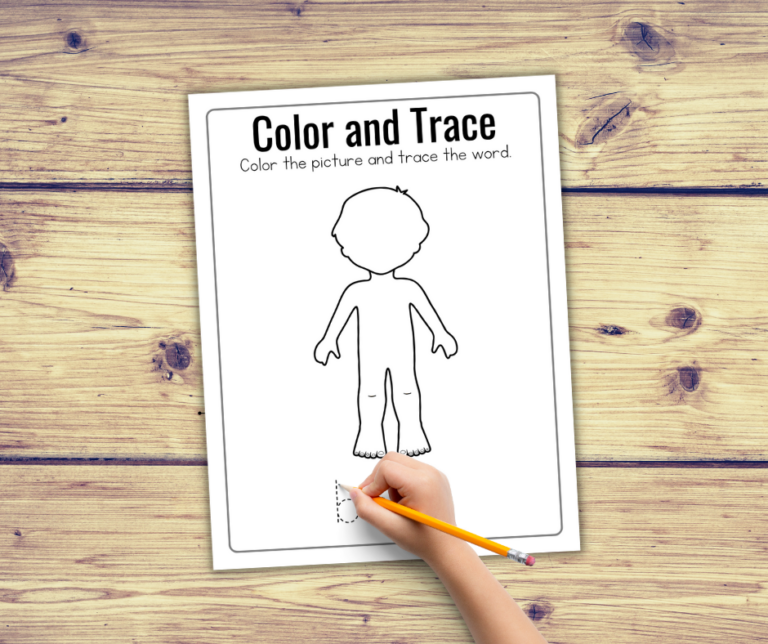 Free Color and Trace Human Body Worksheets