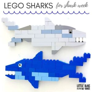 Shark STEM Activities for Kids
