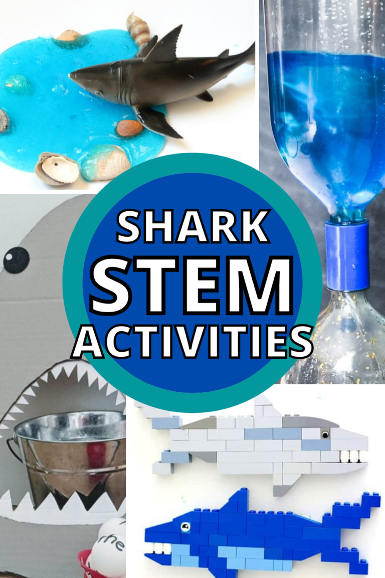 Shark STEM Activities for Kids
