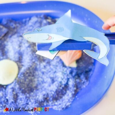 Shark STEM Activities for Kids