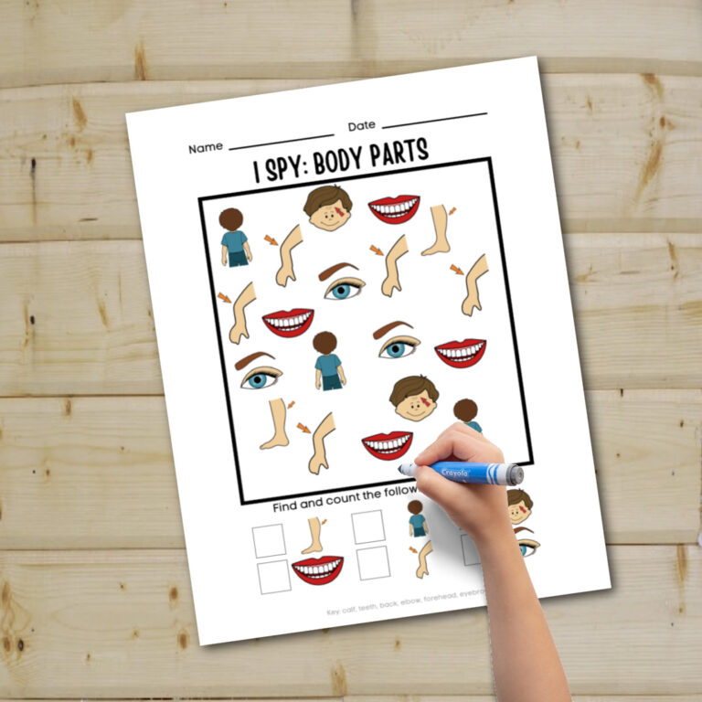 Free Printable I Spy Body Parts Worksheets