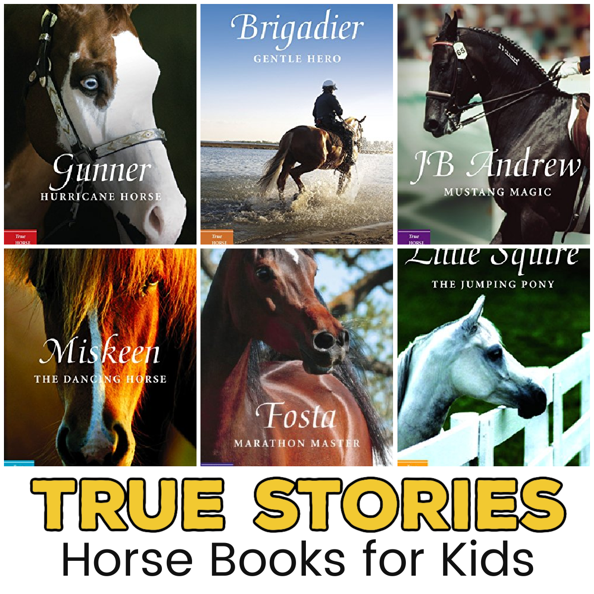 8 Engaging True Stories About Horses