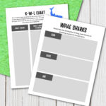 Researching Whale Sharks for Kids | Free Printables
