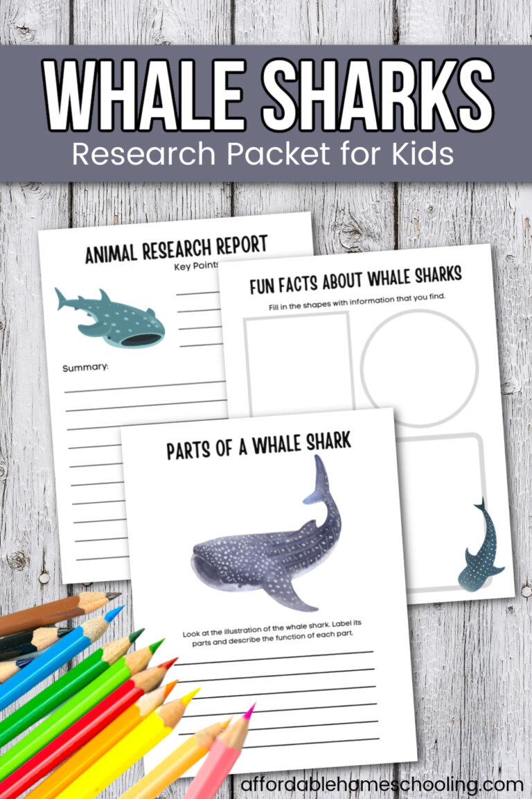 Researching Whale Sharks for Kids | Free Printables
