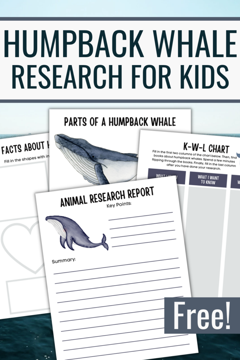 Humpback Whale Facts for Kids Research Pack