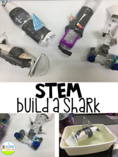 Shark STEM Activities for Kids