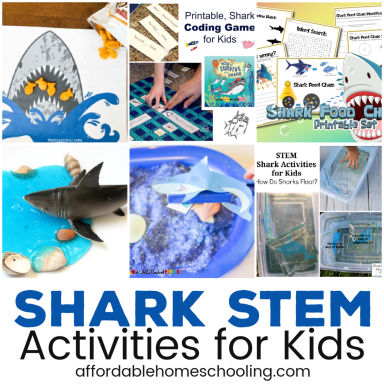 Shark STEM Activities for Kids