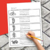 Printable Ant Life Cycle Worksheets