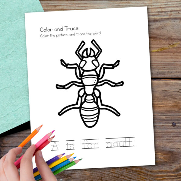 Printable Ant Life Cycle Worksheets
